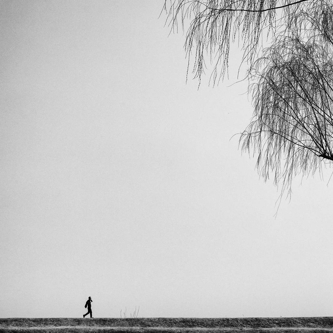 림프로의 포토-아뜰리에 | Limpro's Foto Atelier